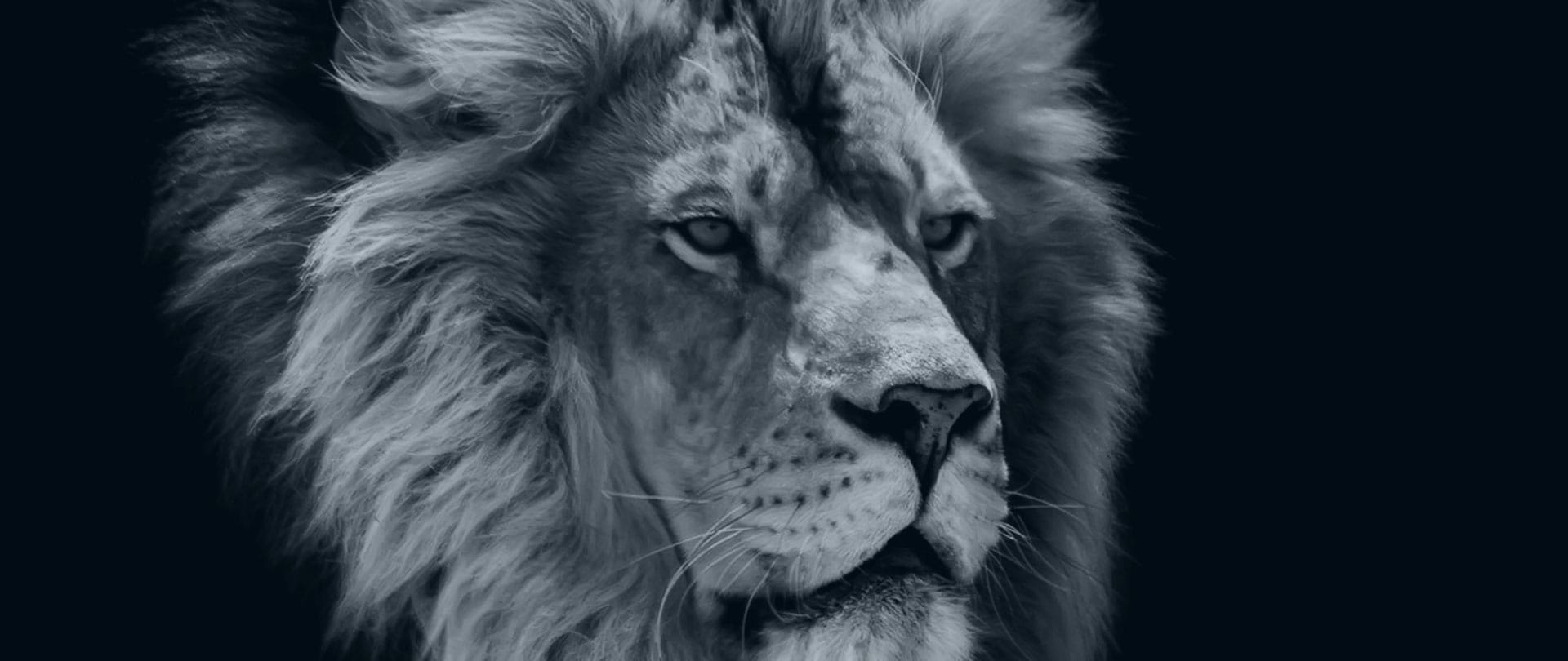 Le Lion Peugeot : histoire d'un symbole